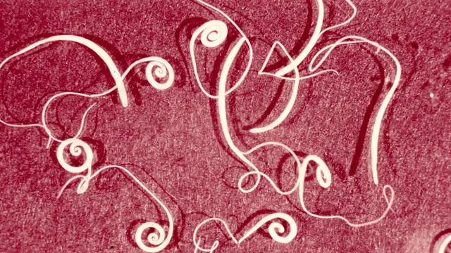 Waspadai 4 Jenis Cacing Penyebab Cacingan - Health Liputan6.com