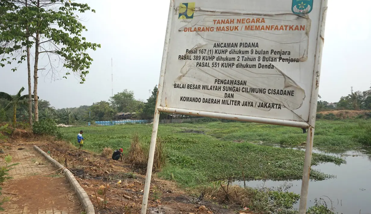 FOTO: Setu Pengarengan Depok Diserang Eceng Gondok - Foto Liputan6.com
