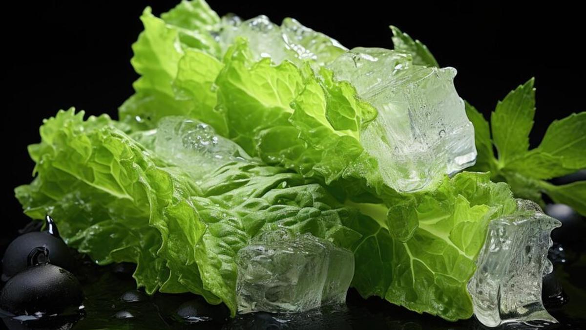 Tips Mengembalikan Selada Layu dengan Es Batu - Food Fimela.com