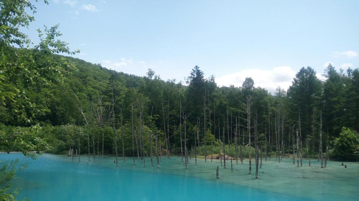 The Blue Pond, Danau Berwarna Biru Terang yang Epik di Jepang ...