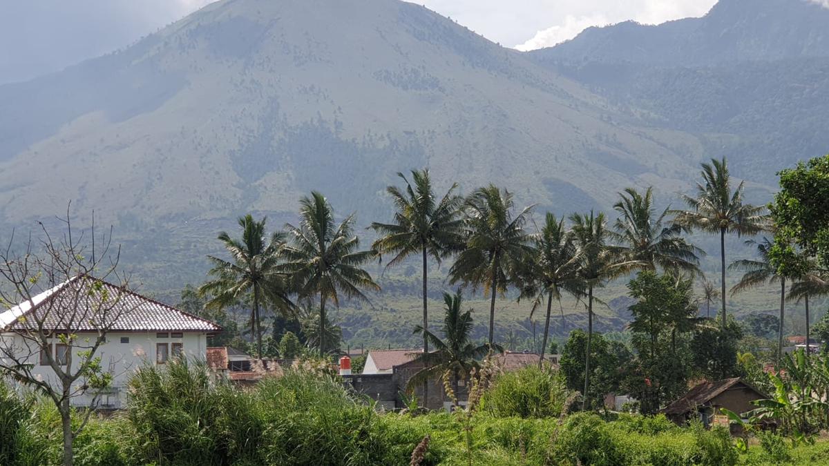 Respon Walhi Terhadap Perubahan Status Taman Wisata Alam Gunung Guntur ...