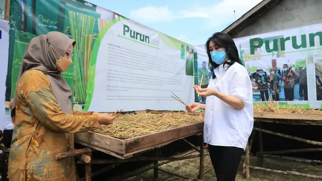 Sulap Rumput Jadi Sedotan, Hartati Jadi 'Pahlawan Lingkungan dan ...