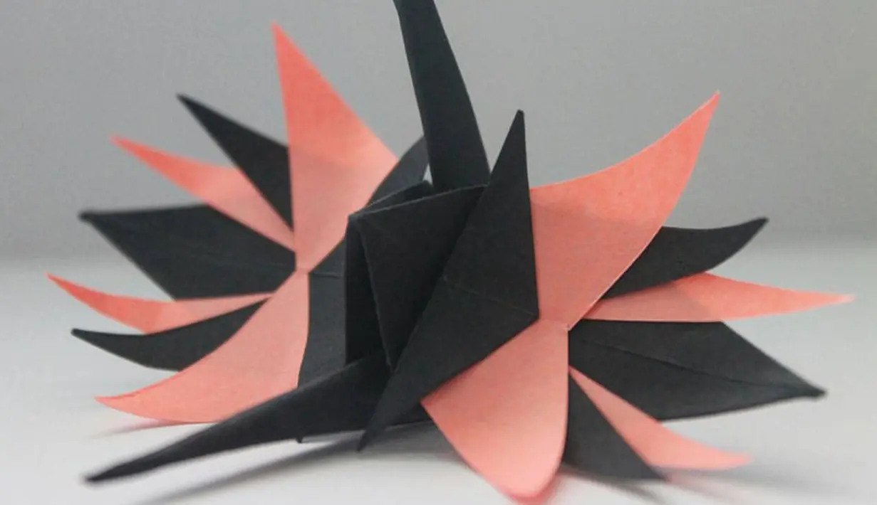 Buat Begitu Banyak Origami Burung, Seniman Ini Hias Sayapnya Jadi Super ...