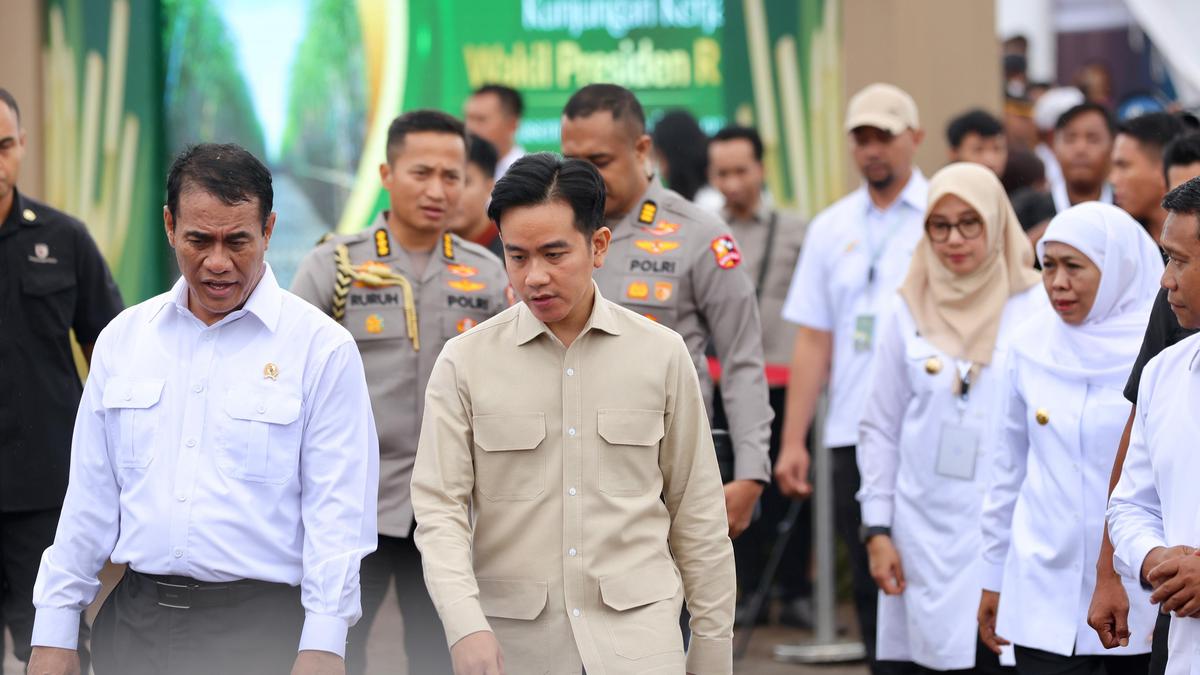 Gibran Guyon soal Dipecat Bareng Effendi Simbolon dari PDIP: Bisa Urut Nomornya