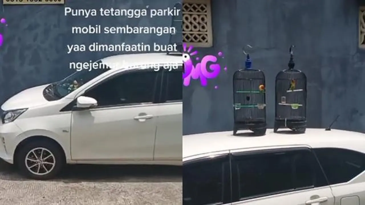 Bukan Diajak Ribut, Pria Ini Malah Jemur Burung di Atap Mobil Tetangga ...