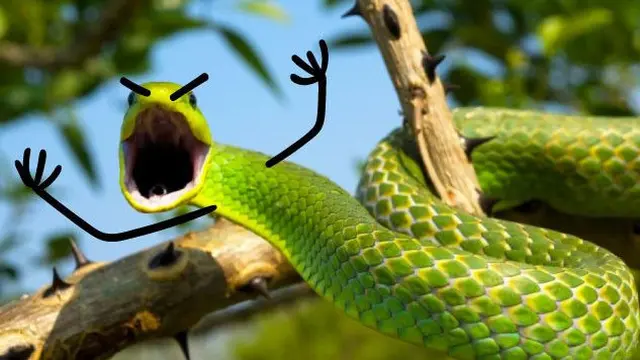 6 Editan Foto Ular Ekspresi Kaget Ini Absurd, Gagal Tampak Seram - Hot ...