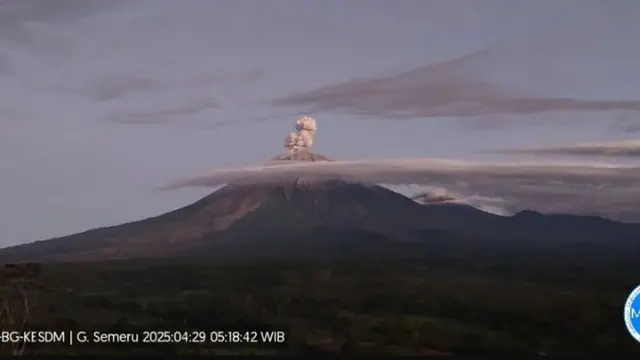 Gunung Semeru Erupsi Lagi, Tinggi Letusan 900 Meter - Regional Liputan6.com