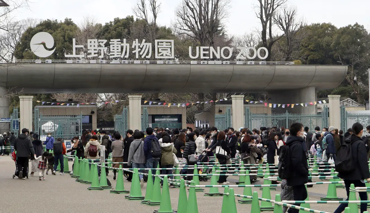 Jepang Pulangkan Panda Raksasa Xiang Xiang ke China, Ribuan Penggemar ...