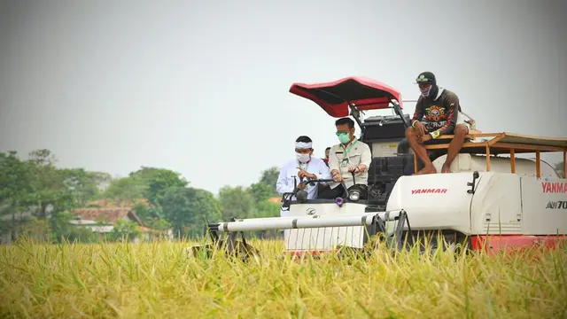 Mengapa Indonesia Disebut Negara Agraris? Apakah Julukan Ini Masih ...