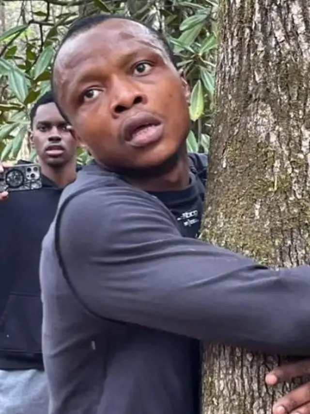 Aksi Super Cepat Pria Peluk Ribuan Pohon dalam Sejam, Raih Rekor Dunia ...