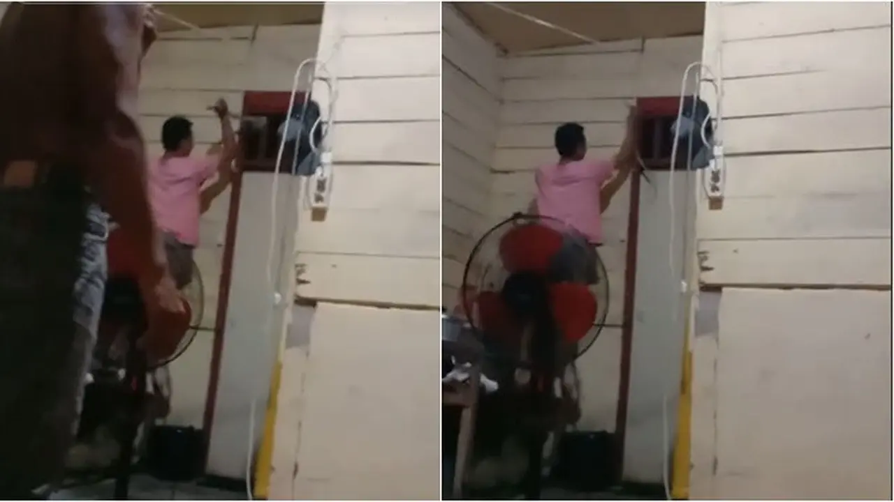 Viral Maling Tertangkap Dikurung di Kamar, Ditakuti Ular Sampai Nangis Histeris - Hot Liputan6.com