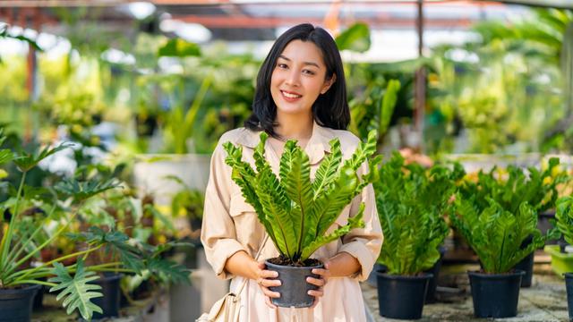 5 Cara agar Makin Bahagia dengan Hidup Minimalis - Lifestyle Fimela.com