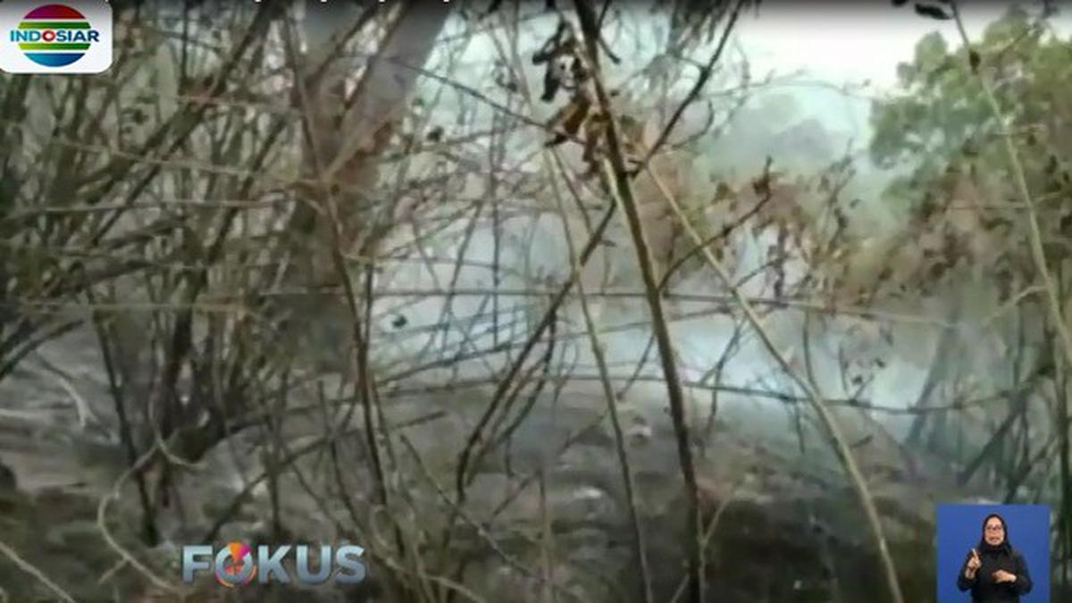 Video Amatir usai Api Bakar Hutan Lindung di Lereng Gunung Sumbing ...