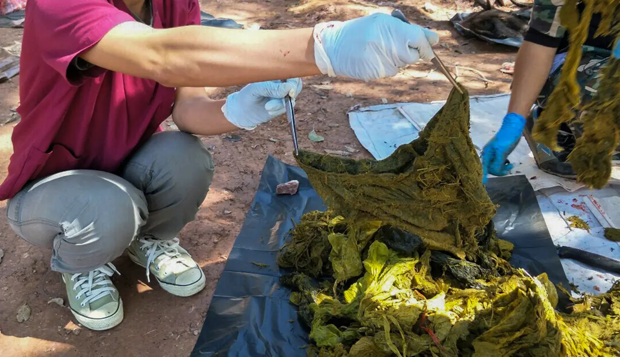 FOTO: Rusa Mati di Thailand, Perutnya Berisikan 7 Kg Plastik dan ...