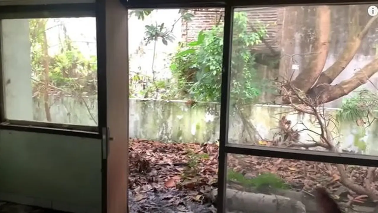 6 Potret Rumah Pelawak Jojon yang Terbengkalai Bertahun-Tahun, Suasananya Seram - Hot Liputan6.com
