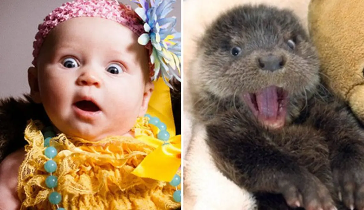 Ekspresi Hewan Seperti Anak Yang Cute Abis Bikin Senyum Merekah