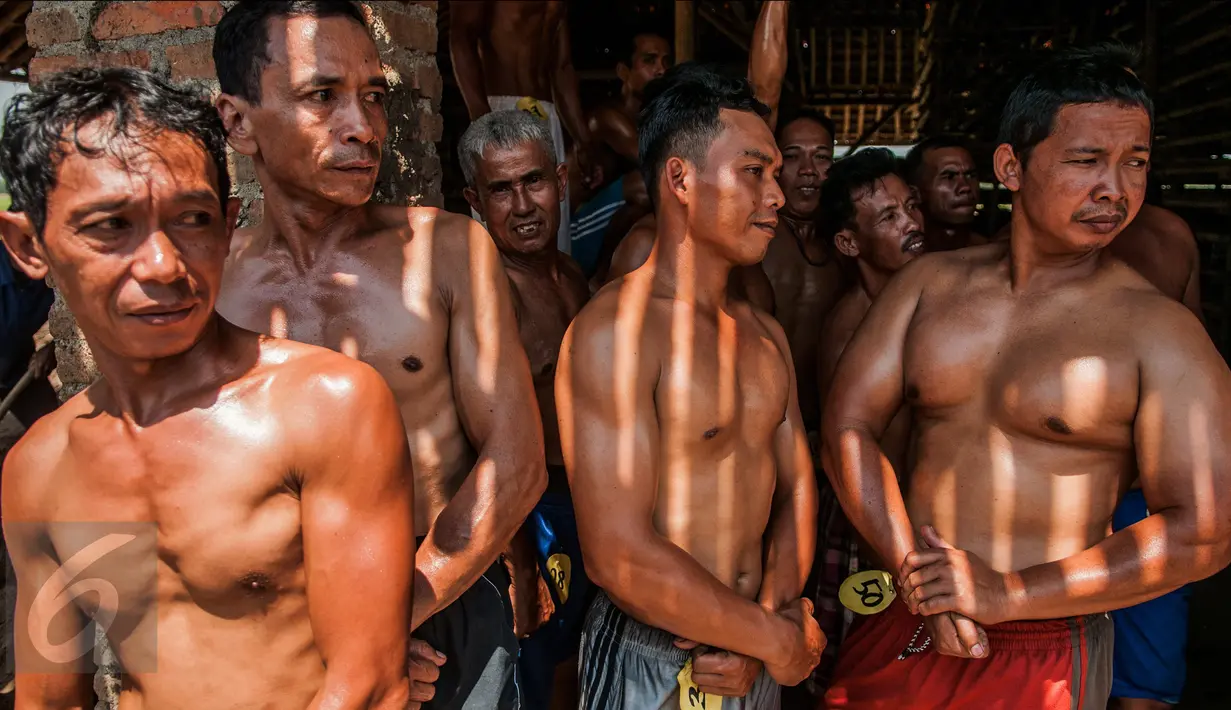 STORY: Unjuk Otot Para Jawara Jebor di Atas Tanah Majalengka - Foto ...