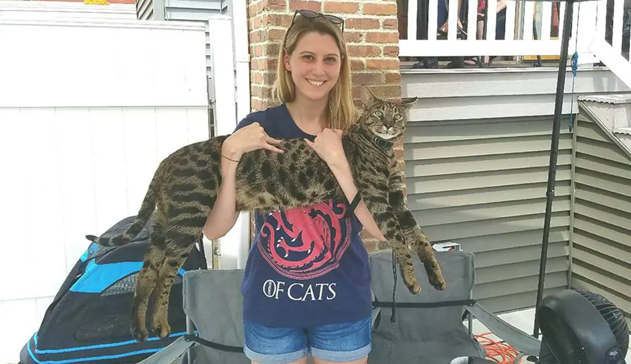 PHOTO: Kenalkan, Arcturus Si Kucing Tertinggi Sedunia Asal Michigan ...
