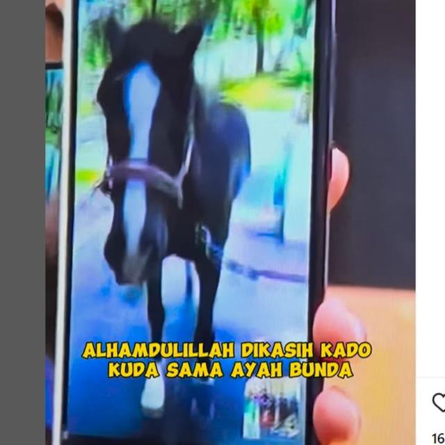 Irfan Hakim Beri Kuda Poni untuk Kado Ulang Tahun ke-10 Putranya ...
