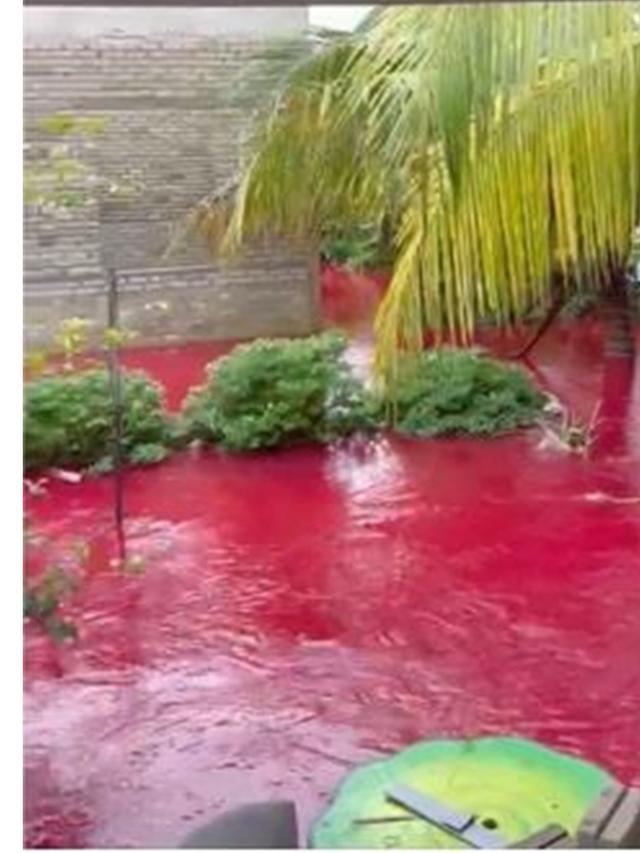 Banjir Berwarna Merah Seperti Darah Ini Bikin Geger, Warga Selidiki ...