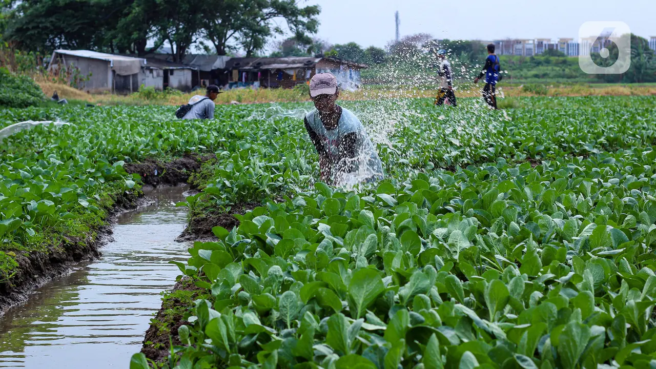 Agribisnis atau Agrobisnis adalah Ilmu Pertanian dan Bisnis, Ini ...
