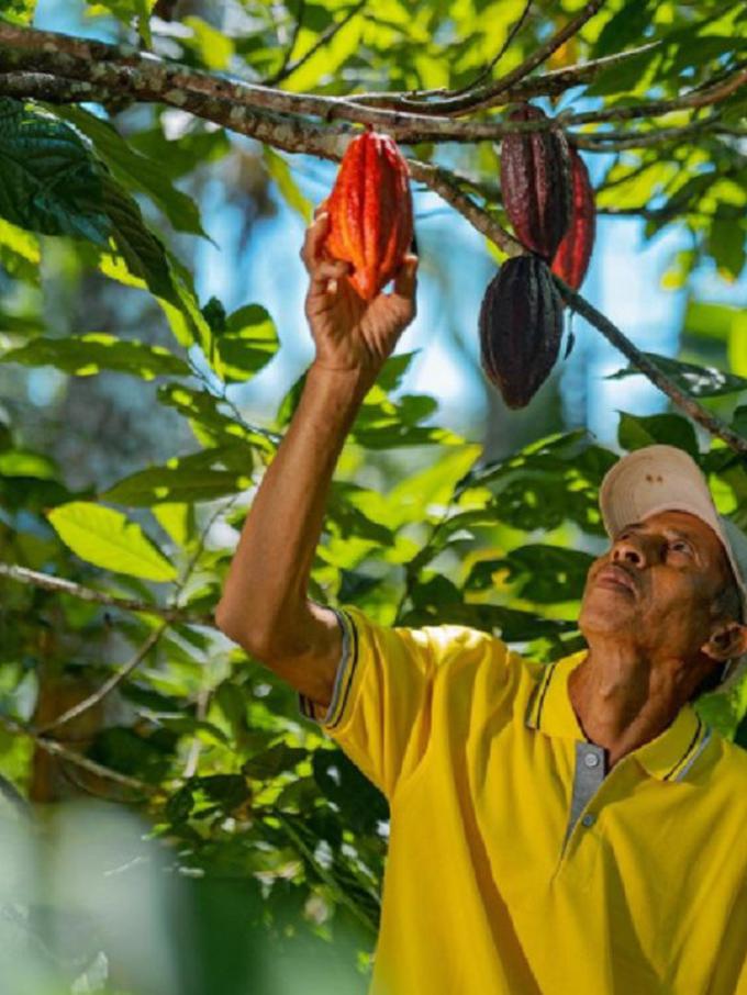 Mengenal Talasi, Upaya Menciptakan Produk Berkualitas dari Alam lewat ...