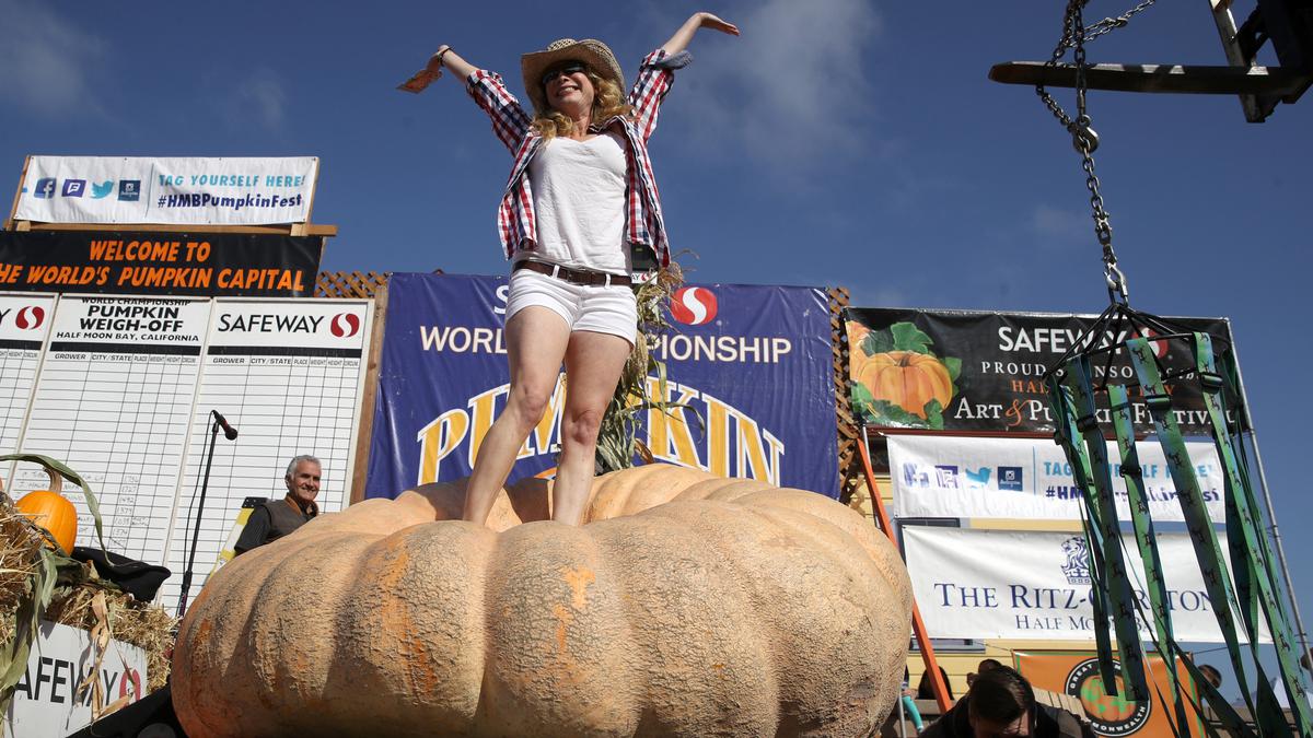 FOTO: Deretan Labu Raksasa Dilombakan di Amerika Serikat - Foto ...