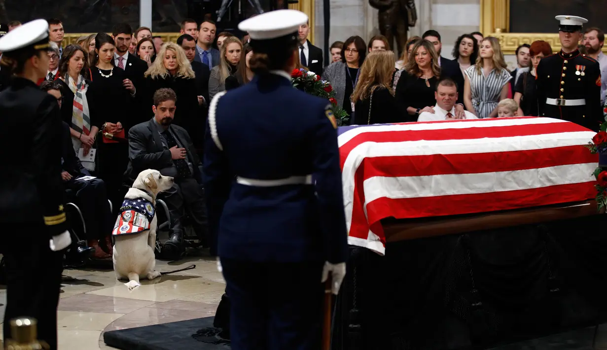 FOTO: Kesetiaan Sully, Anjing yang Menjaga Peti Mati George HW Bush ...