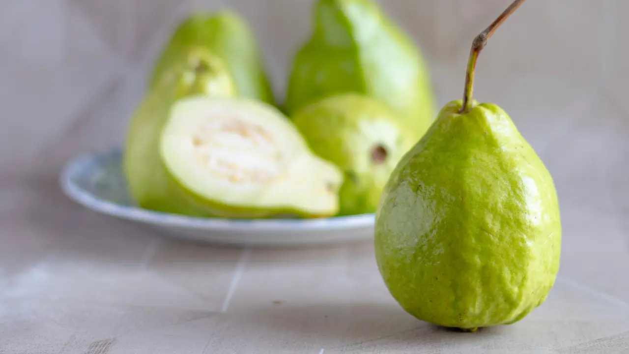 15 Manfaat Jambu Biji untuk Kesehatan, Meningkatkan Imunitas dan Pencernaan