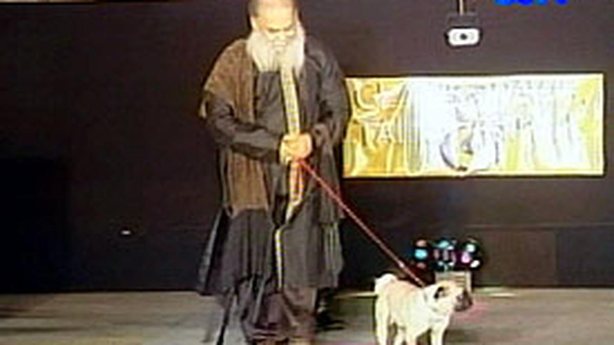 Peragaan Busana dengan Model Anjing - Global Liputan6.com