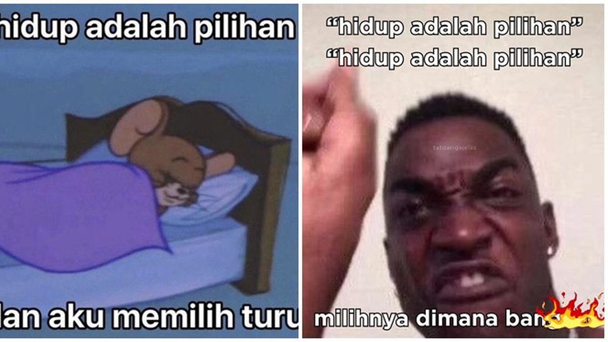 6 Meme Hidup Adalah Pilihan Ini Kocak, Sering Bingung ketika Harus ...