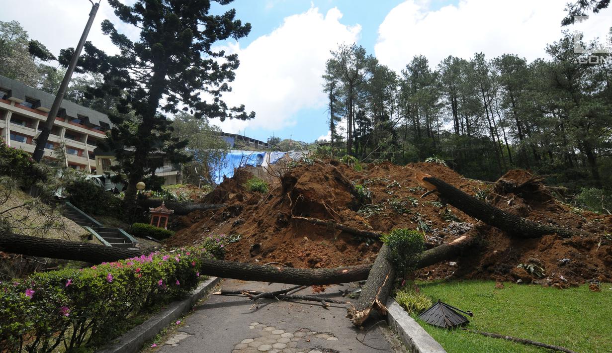 FOTO: Longsor Puncak Pass, Perbaikan Mulai Dilakukan - Foto Liputan6.com