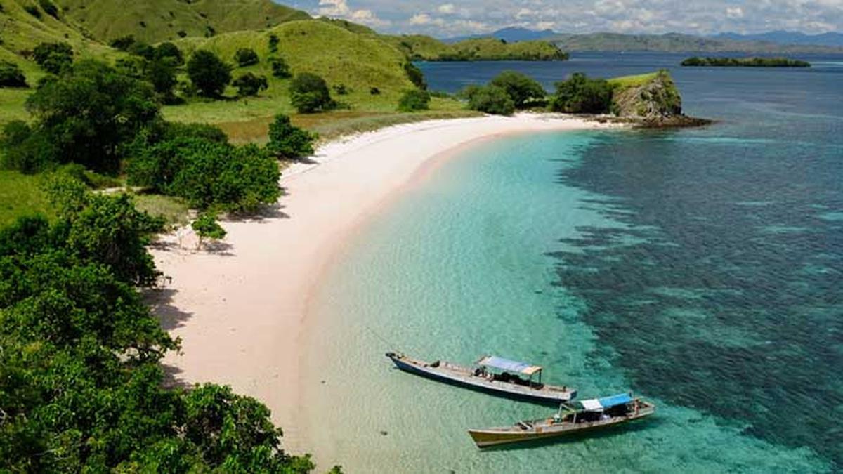 Diplomasi Kopi Promosikan Pulau Komodo di Norwegia - Global Liputan6.com