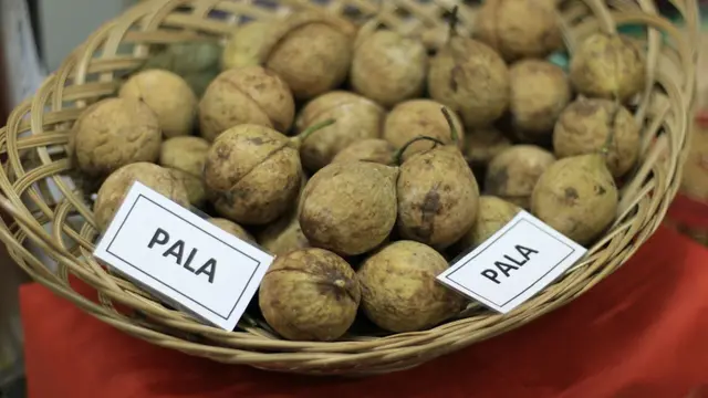 Mengenal Keunikan Pala Pada Masakan, Sebuah Eksplorasi Tentang Cita ...