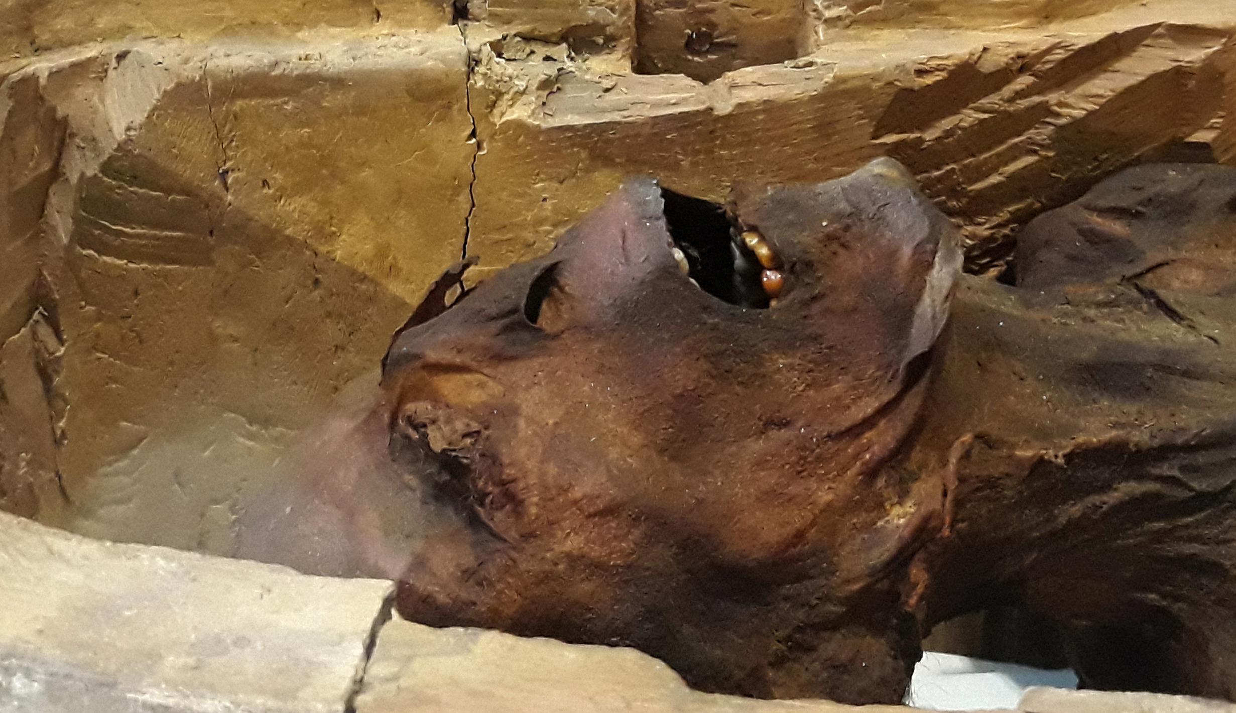 FOTO: Bikin Merinding, Museum Mesir Pamerkan Mumi Menjerit