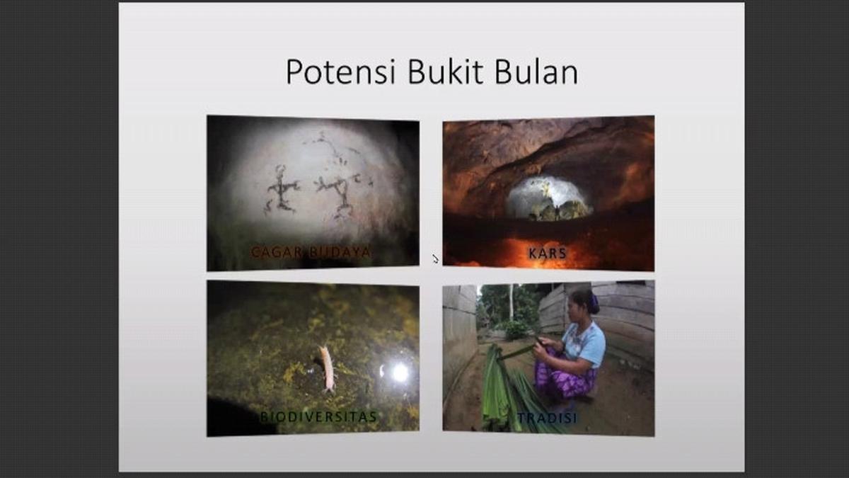 Temuan Gambar Cadas Mengejutkan di Kawasan Gua Karst Bukit Bulan Jambi