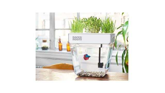 7 Alat Inovasi Rumah Tangga Ini Unik Banget, Mudahkan Pekerjaan - Hot ...