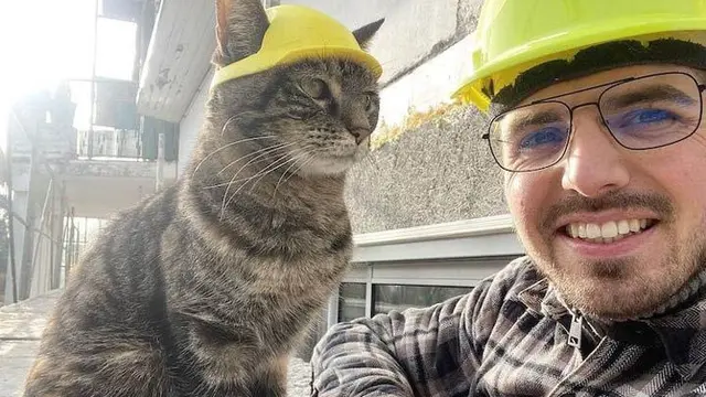 8 Potret Kucing Saat Pakai Helm Ini Bikin Geleng Kepala, Nyeleneh Tapi ...