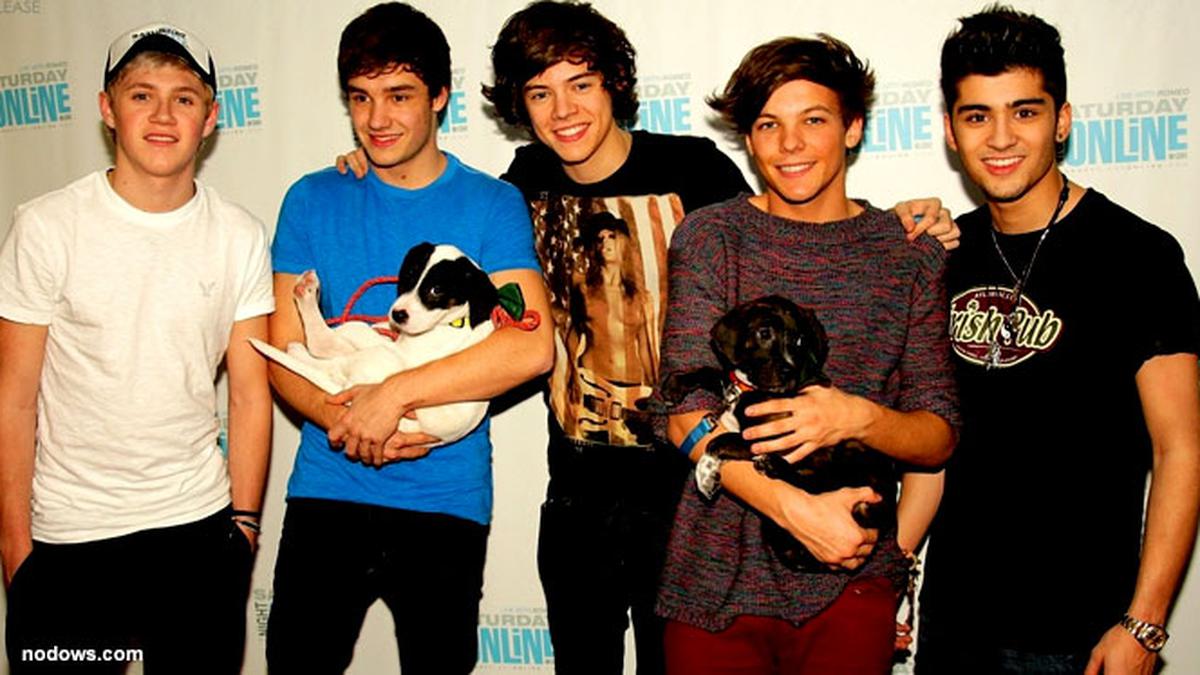 Fans One Direction Mengancam Bakal Bunuh Diri Massal - ShowBiz Liputan6.com