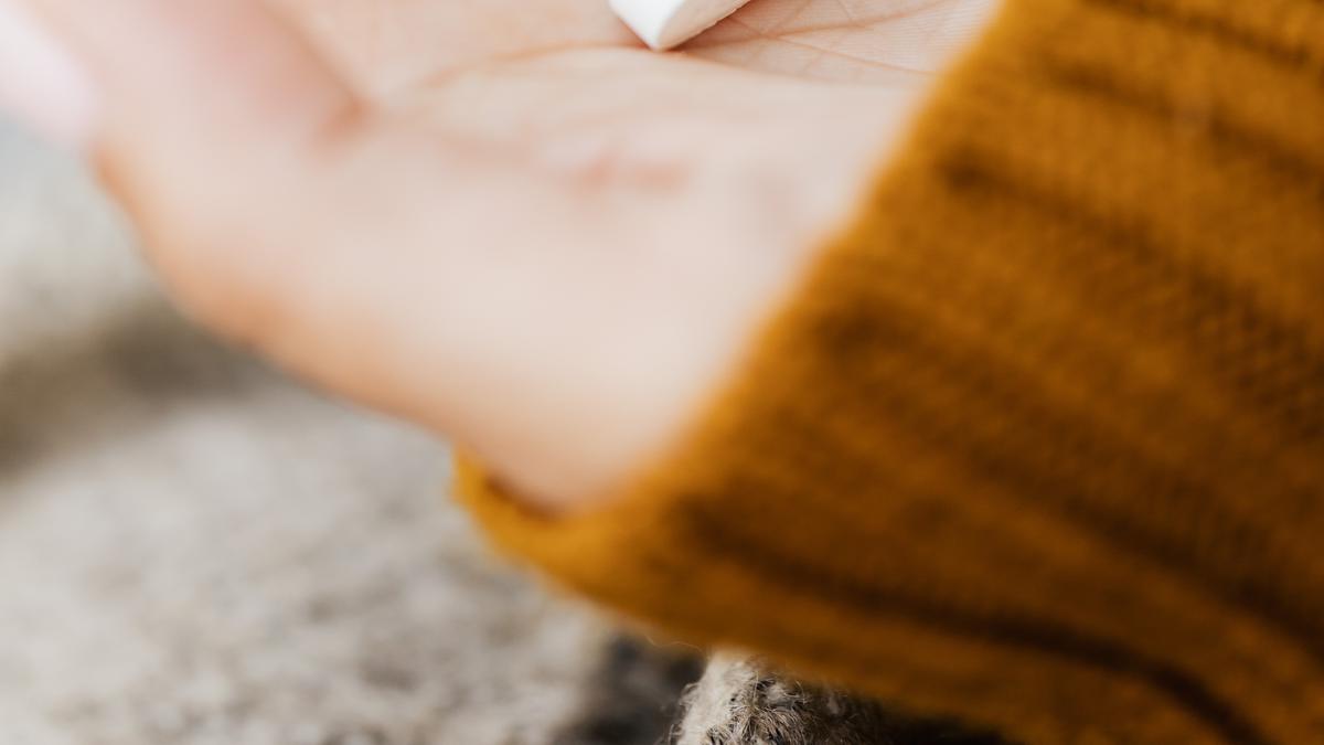 Trisela Obat Apa? Pahami Dosis dan Kontra Indikasinya Sebelum Konsumsi ...