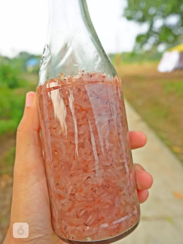 Mengenal Calok, Kuliner Unik Khas Kampung Tua di Pulau Terluar ...
