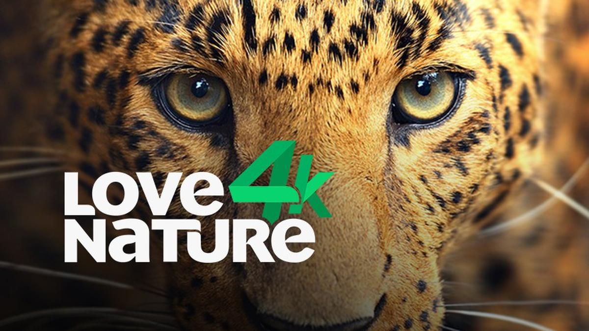 Love Nature, Saksikan Keindahan dan Keajaiban Alam di Vidio
