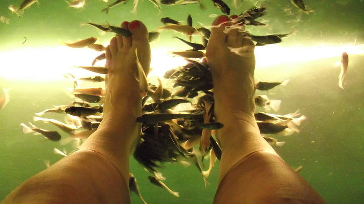 8 Manfaat Terapi Ikan bagi Kesehatan yang Jarang Diketahui - Ragam Bola.com