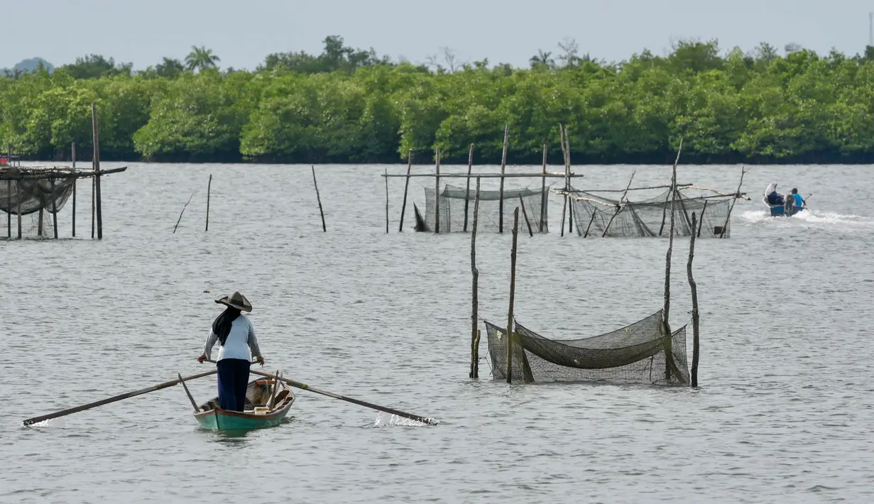 Melihat dari Dekat Kehidupan Masyarakat Pulau Rempang yang Terancam ...