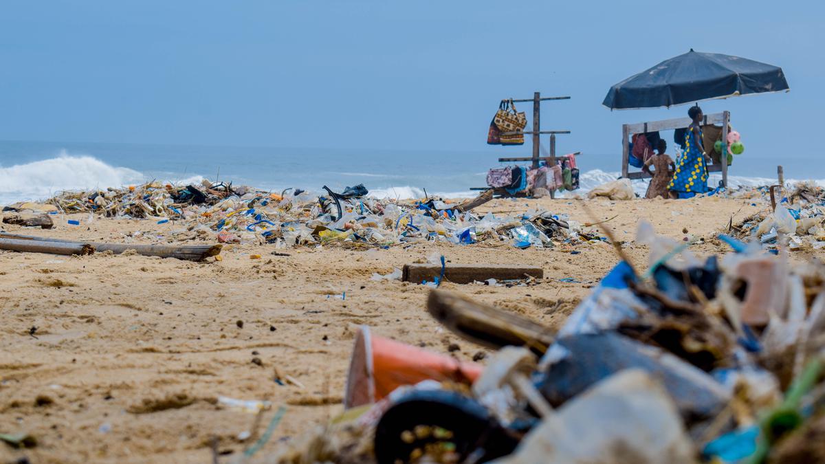 Sampah Plastik Akan Melebihi Jumlah Ikan di Laut pada 2050, Generasi ...