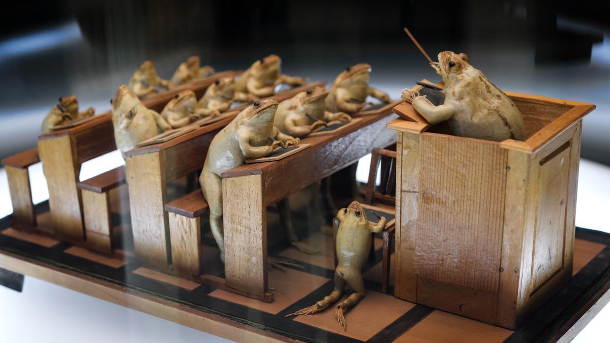 Unik, Museum ini Menggambarkan bila Katak Jadi Manusia - Foto Liputan6.com