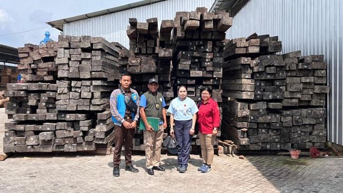 Gakkum Kehutanan Tangkap 2 Tersangka Pengedar Kayu Eboni Ilegal Wilayah ...