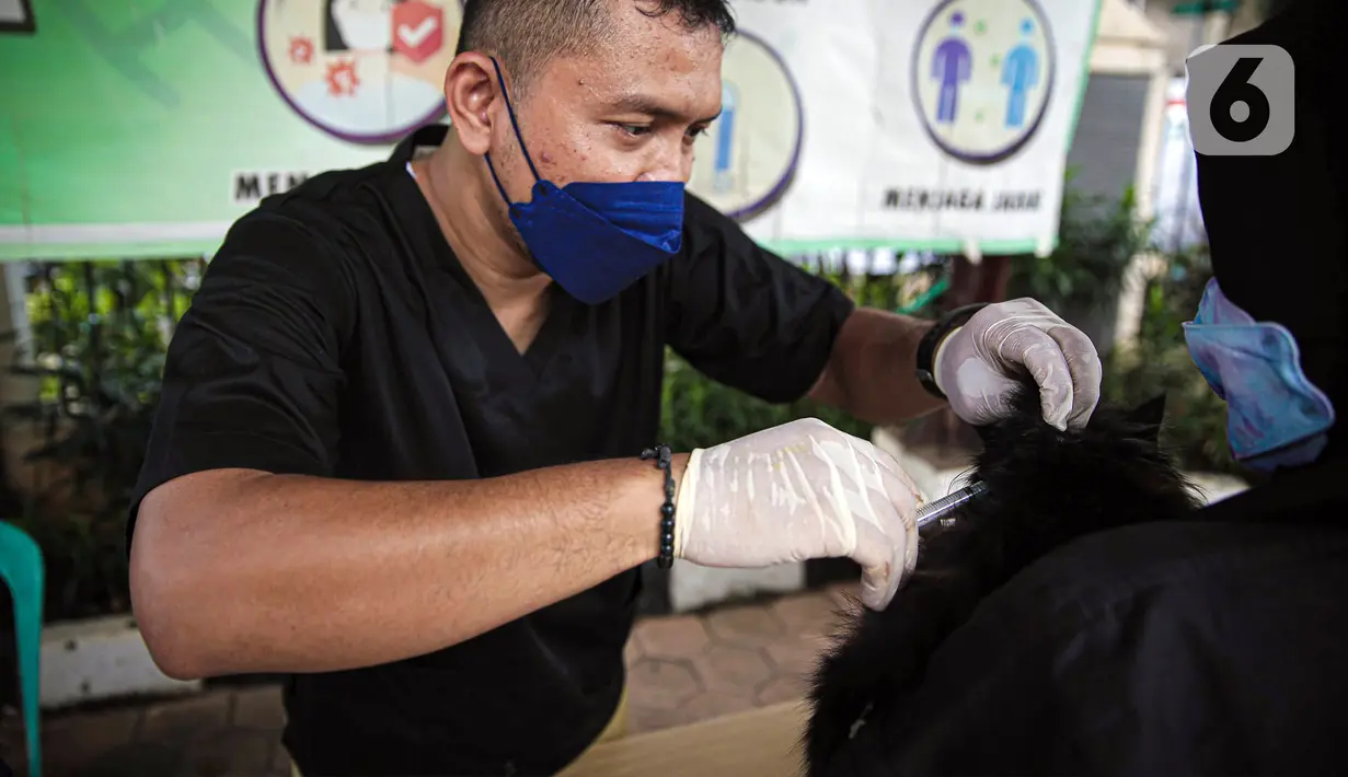 FOTO: Pemberian Vaksin Anti-Rabies Gratis untuk Hewan Peliharaan - Foto ...