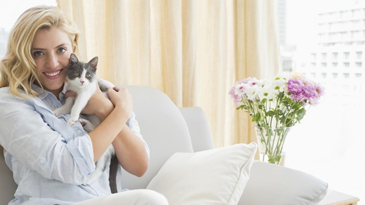 Lebih Suka Kucing daripada Anjing, Itu Tandanya Kamu...