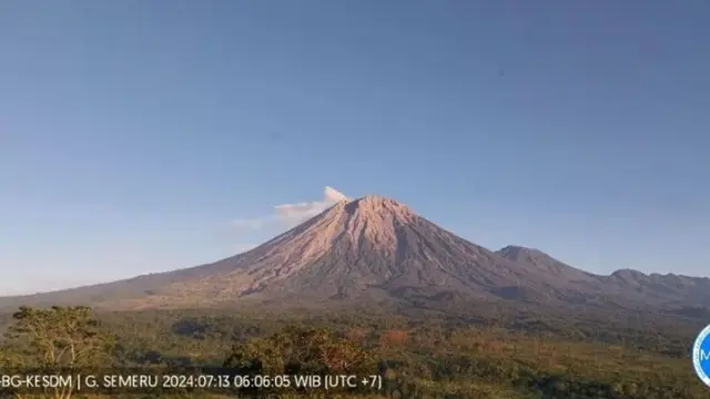 Gunung Semeru Erupsi Pagi Ini, Didominasi Gempa Letusan hingga 30 Kali - News Liputan6.com